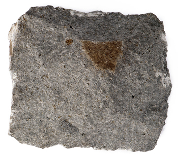 Museo di Storia Naturale dell'Accademia dei Fisiocritici - MUSNAF Siena ...