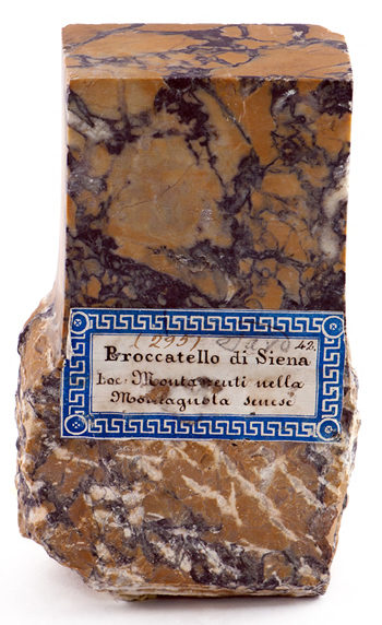 Museo di Storia Naturale dell'Accademia dei Fisiocritici - MUSNAF Siena ...
