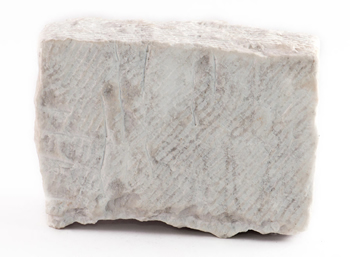 Museo di Storia Naturale dell'Accademia dei Fisiocritici - MUSNAF Siena ...