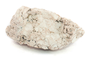 Museo di Storia Naturale dell'Accademia dei Fisiocritici - MUSNAF Siena ...