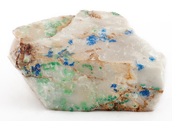 Museo di Storia Naturale dell'Accademia dei Fisiocritici - MUSNAF Siena ...