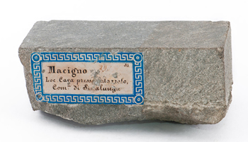 Museo di Storia Naturale dell'Accademia dei Fisiocritici - MUSNAF Siena ...