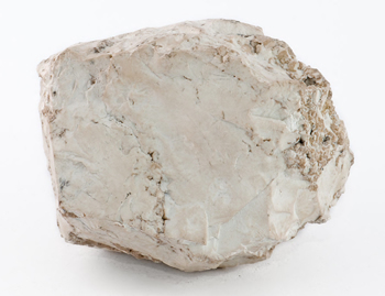 Museo di Storia Naturale dell'Accademia dei Fisiocritici - MUSNAF Siena ...