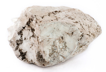 Museo di Storia Naturale dell'Accademia dei Fisiocritici - MUSNAF Siena ...