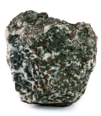 Museo di Storia Naturale dell'Accademia dei Fisiocritici - MUSNAF Siena ...