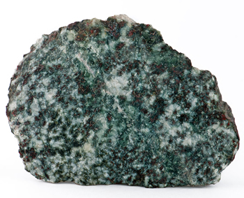 Museo di Storia Naturale dell'Accademia dei Fisiocritici - MUSNAF Siena ...