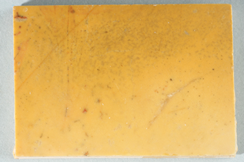 Museo di Storia Naturale dell'Accademia dei Fisiocritici - MUSNAF Siena ...